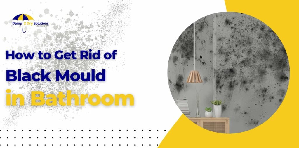 How to Stop Damp Patches on Your Internal Walls - Damp2Dry Solutions
