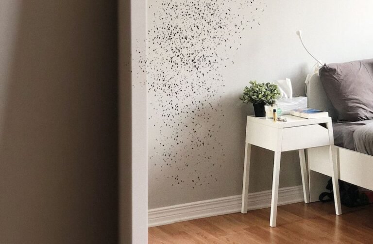 Effects of Sleeping in A Damp Room - The Terrible Risks