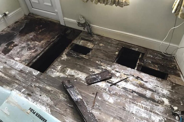 Top Signs of Wet Rot in Your Home + How to Treat it?